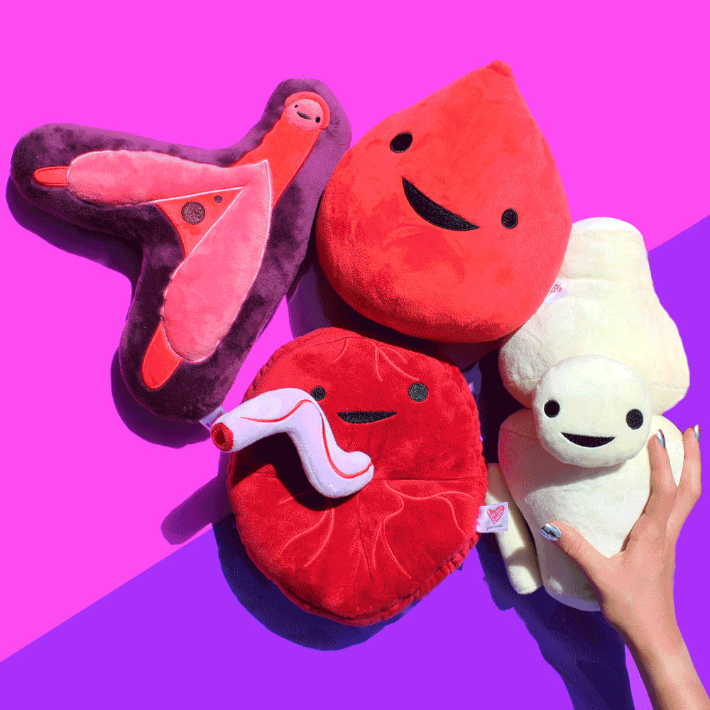 Sold-Out Organ Plushies Back in Stock | Cute & Popular Body Part Plush ...