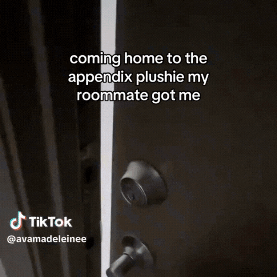 Nursing student core | I Heart Guts Plush Organs