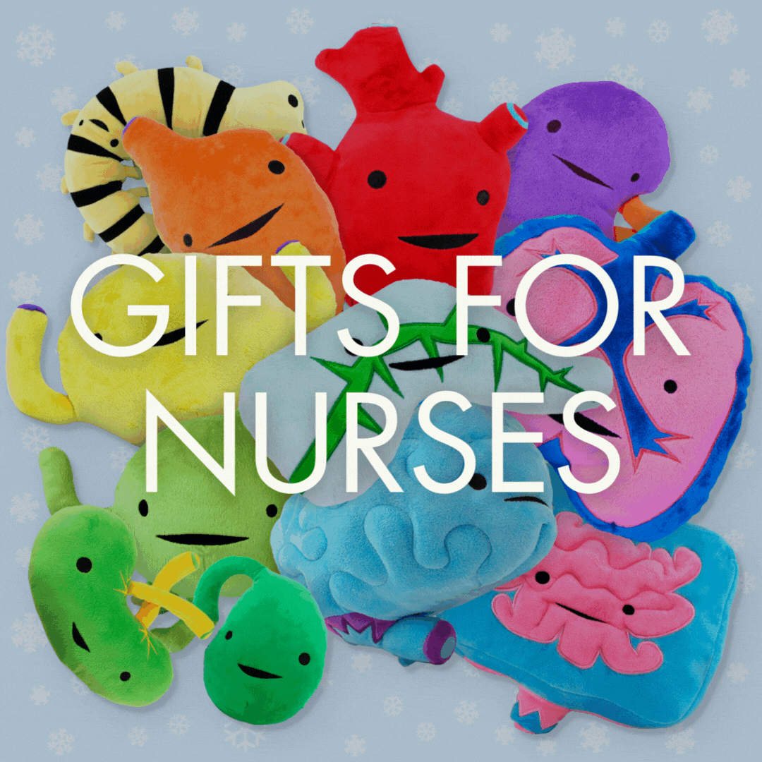Unique Holiday Gift Ideas: I Heart Guts Plushie Organs | I Heart Guts ...