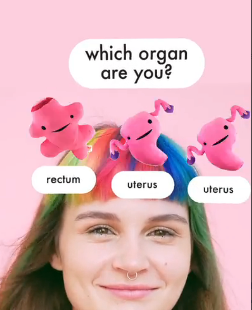 What Organ Are You? | I Heart Guts Plush Organs