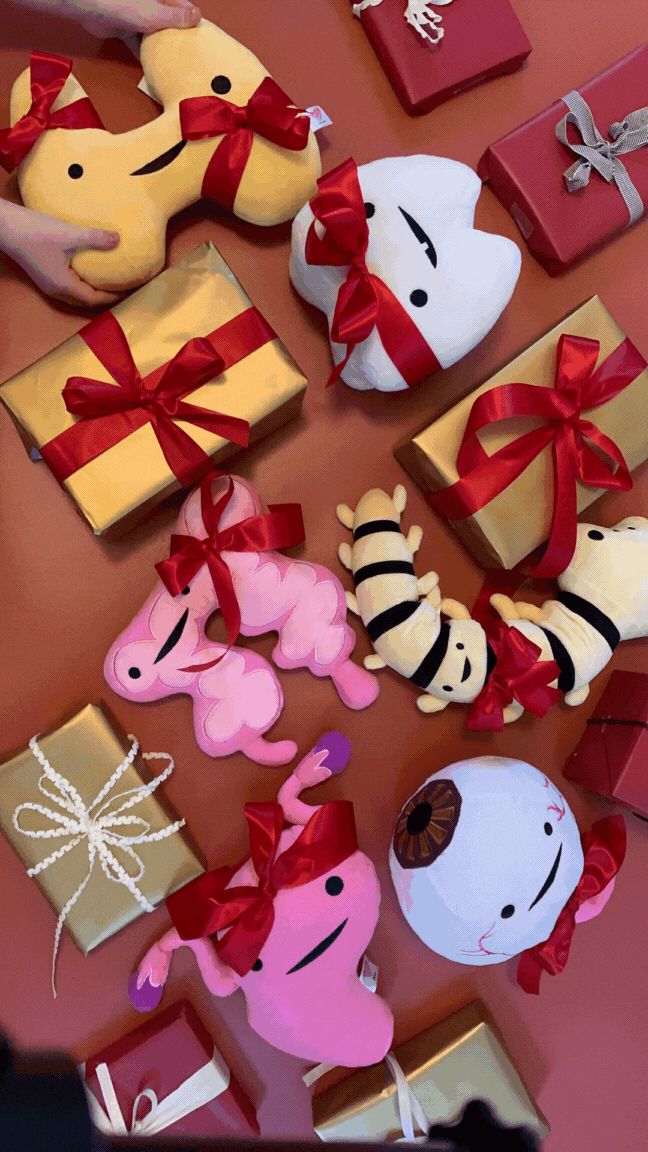 The Cutest Holiday Gifts | I Heart Guts Plush Organs