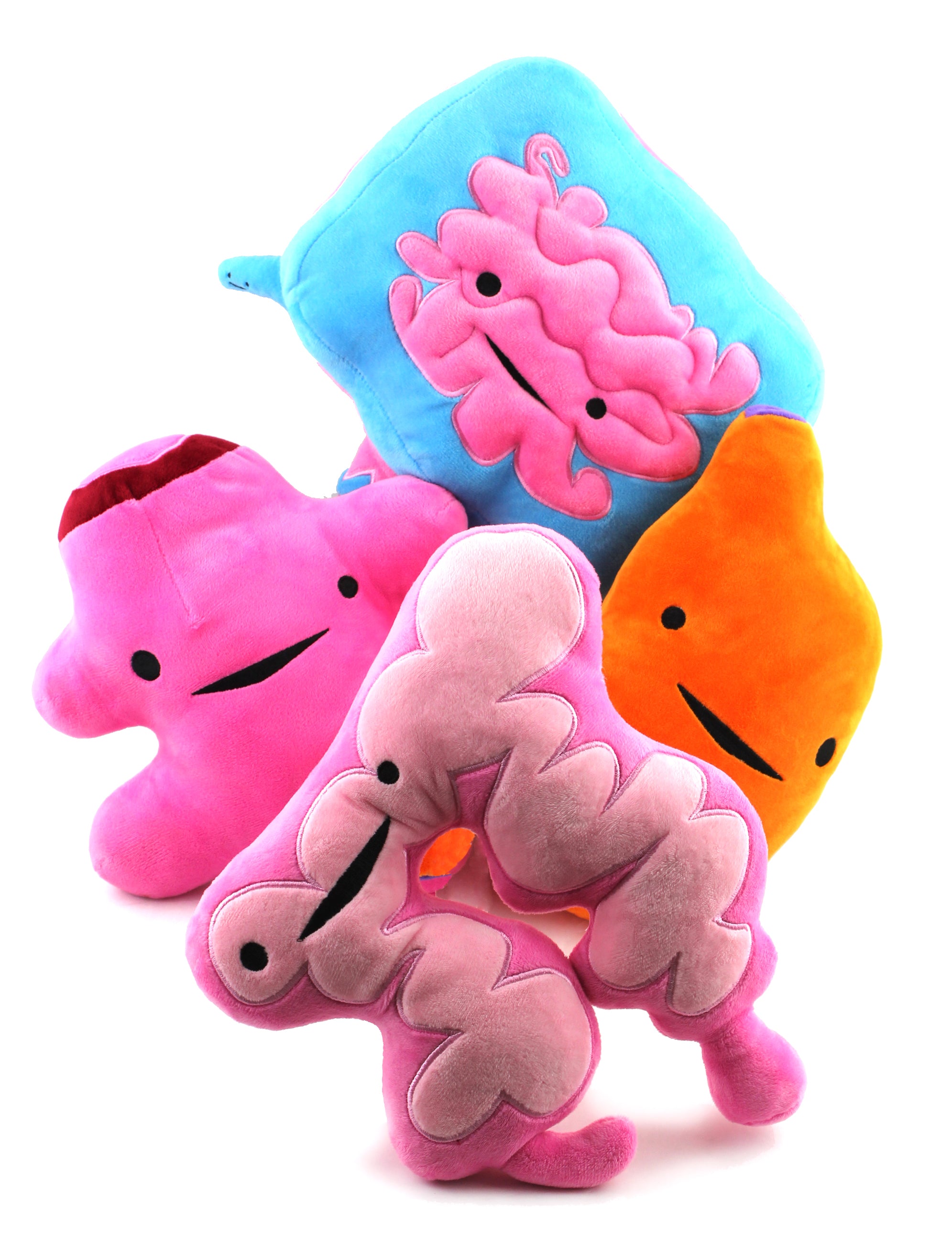 Free Shipping on Orders over $70! | I Heart Guts Plush Organs