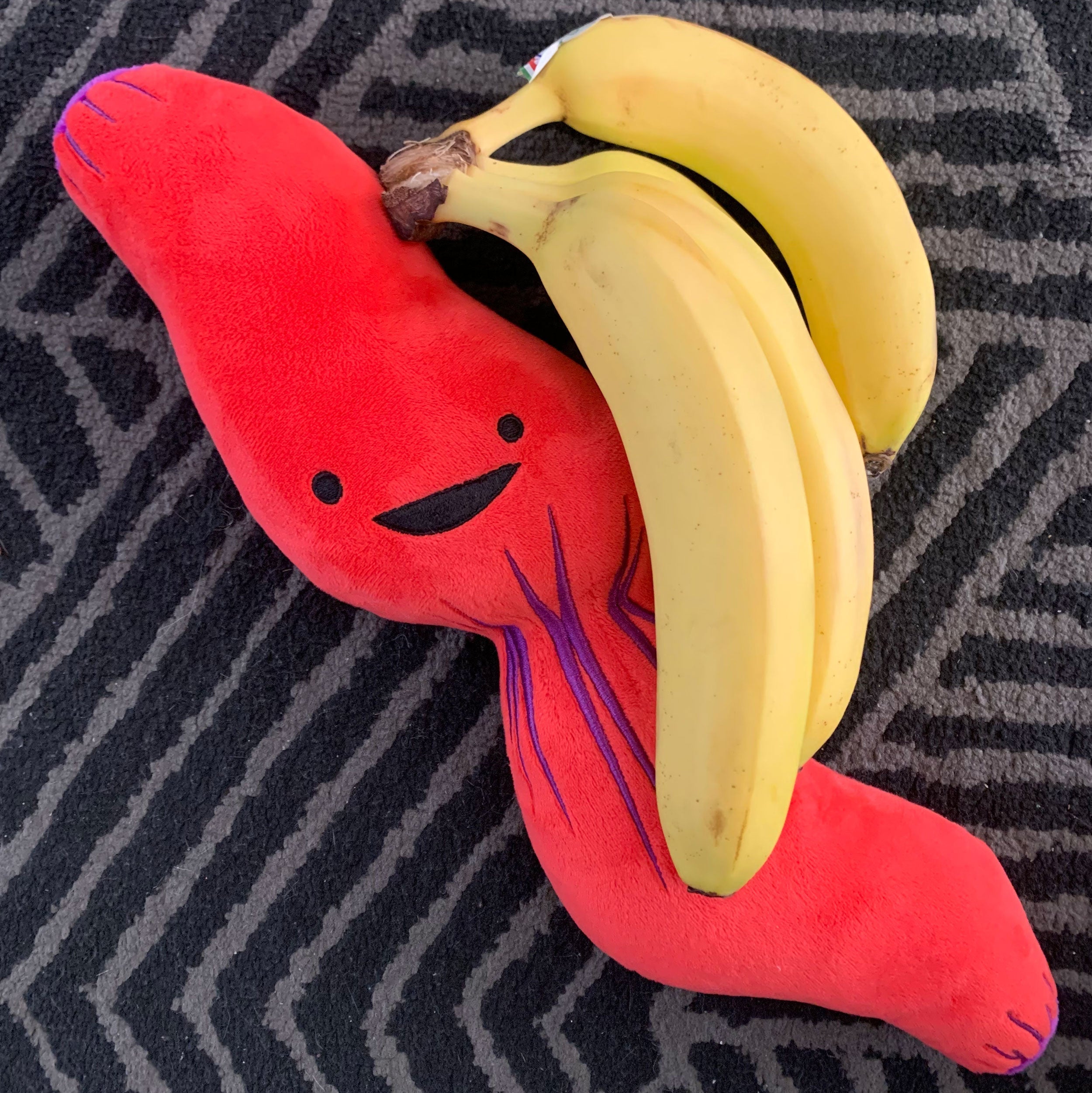 New Esophagus Who Dis? | I Heart Guts Plush Organs