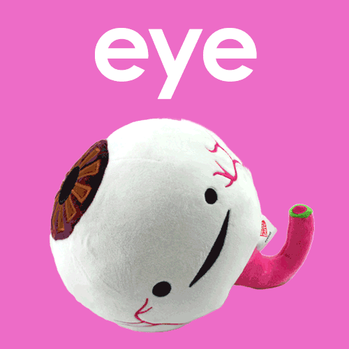 Free Funny Valentines | I Heart Guts Plush Organs