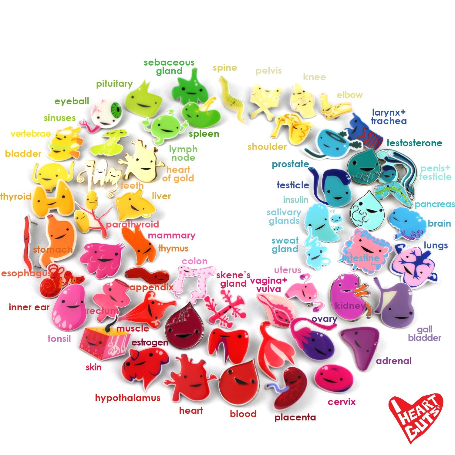Anatomy Lapel Pins | I Heart Guts Plush Organs