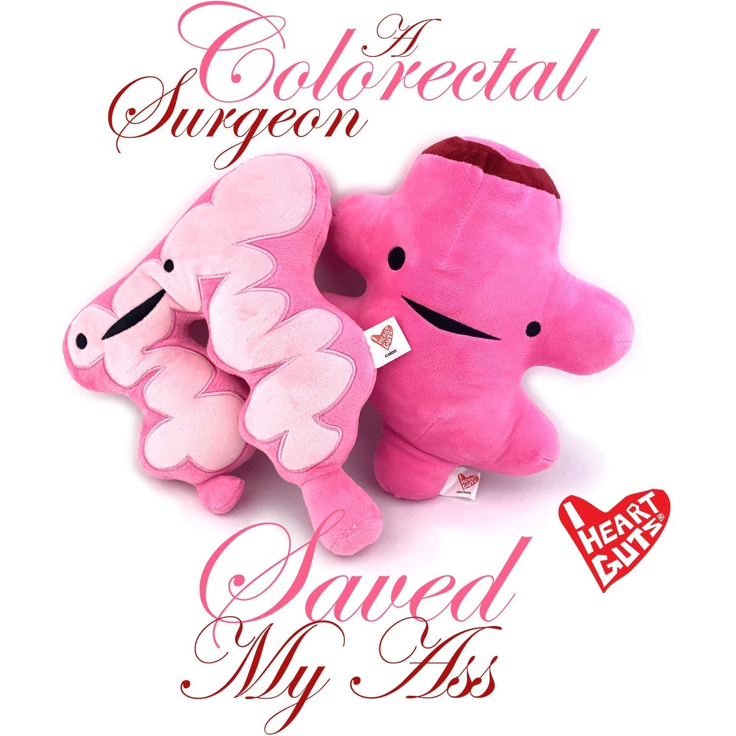 Colon Cancer & Colonoscopy Gifts | I Heart Guts Plush Organs