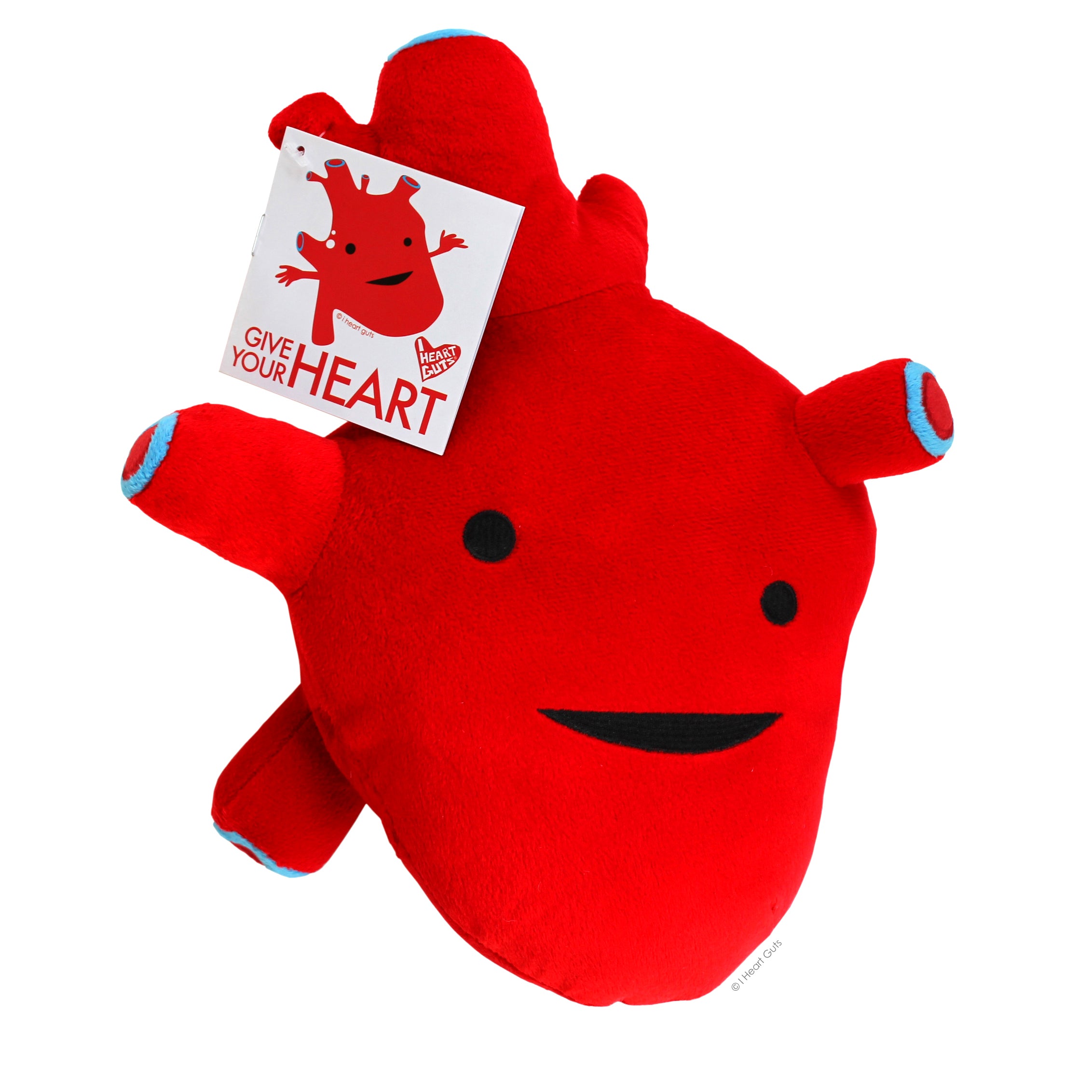 Heart Gifts You'll ️ | I Heart Guts Plush Organs