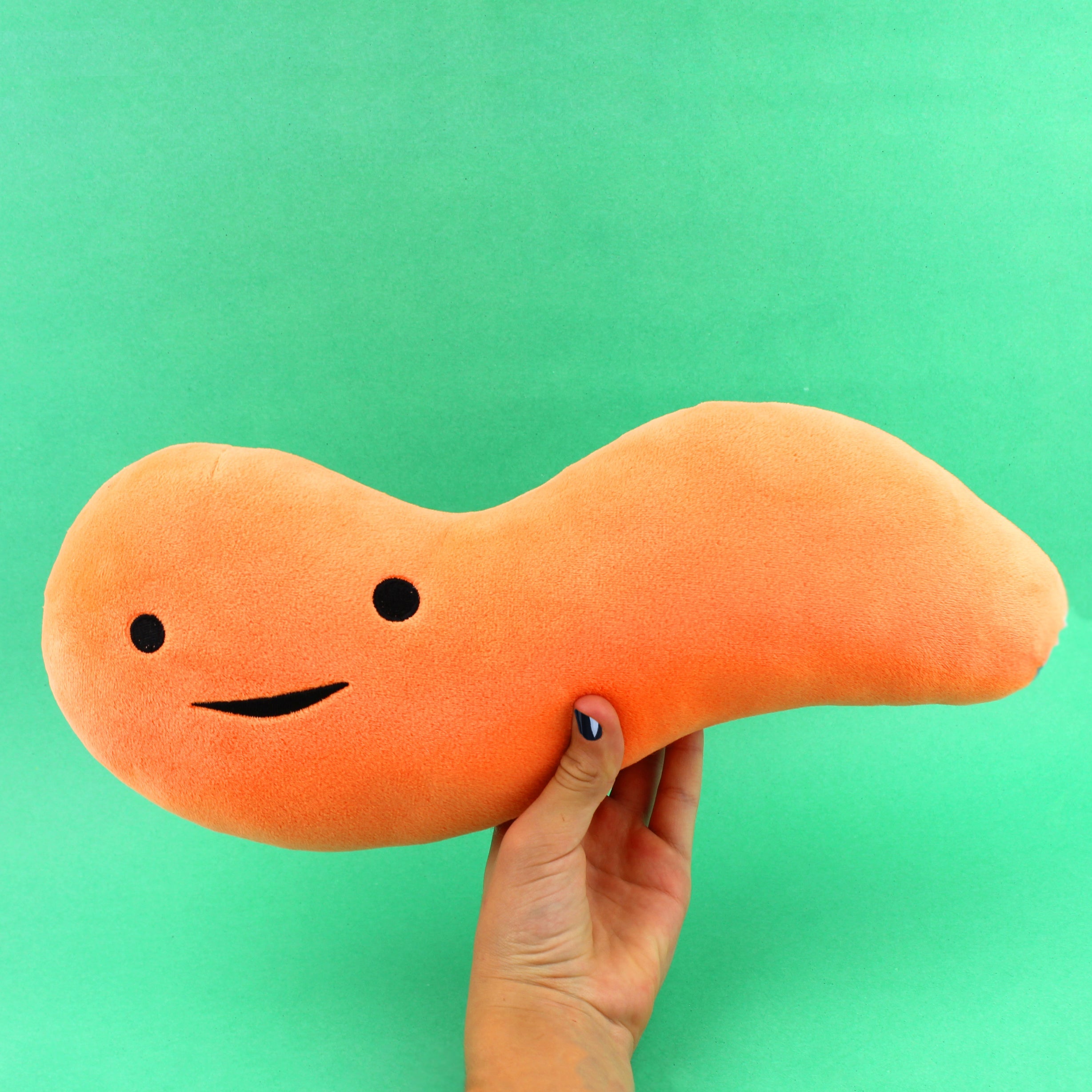 Appendix Removal Gifts | I Heart Guts Plush Organs