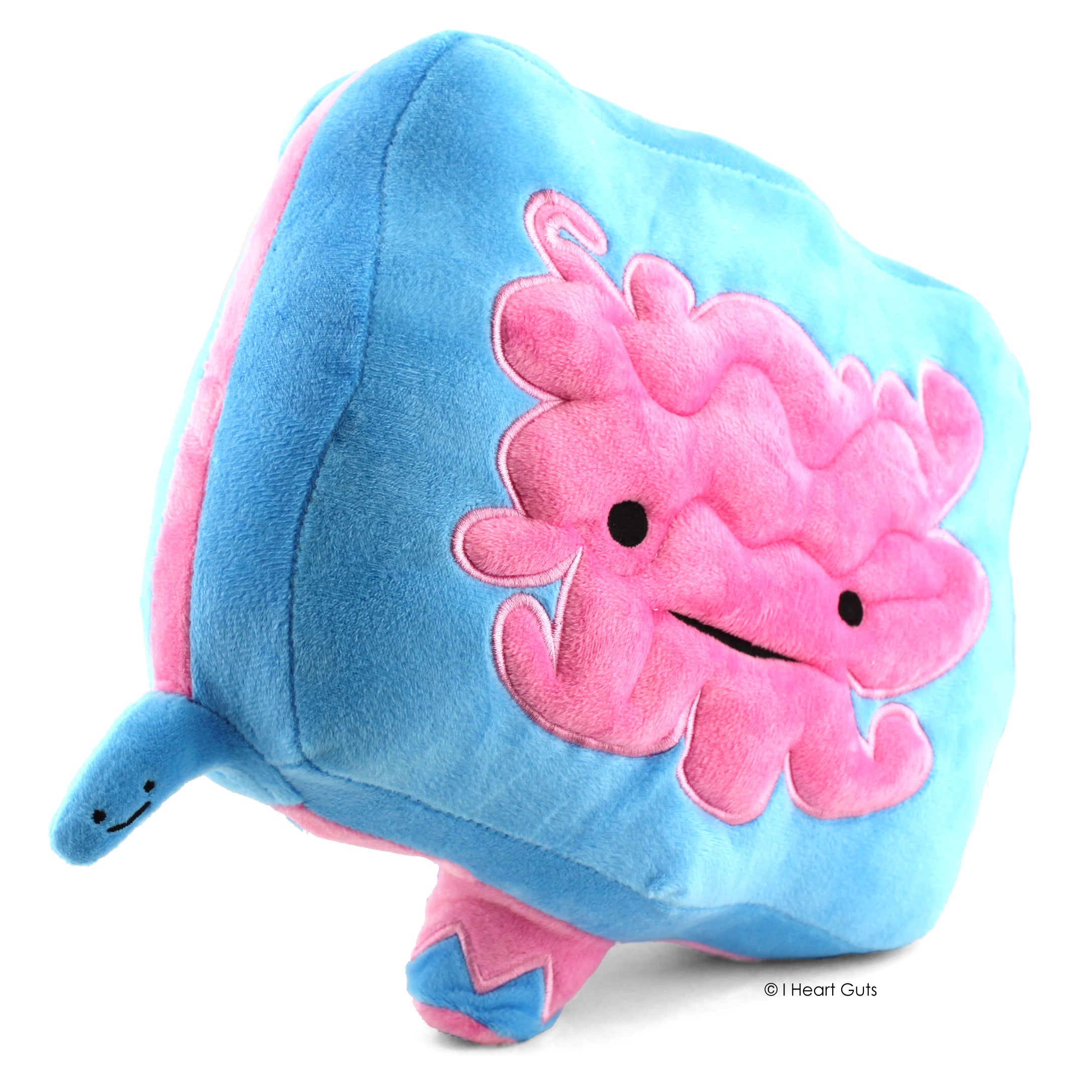 Intestine Gifts | I Heart Guts Plush Organs