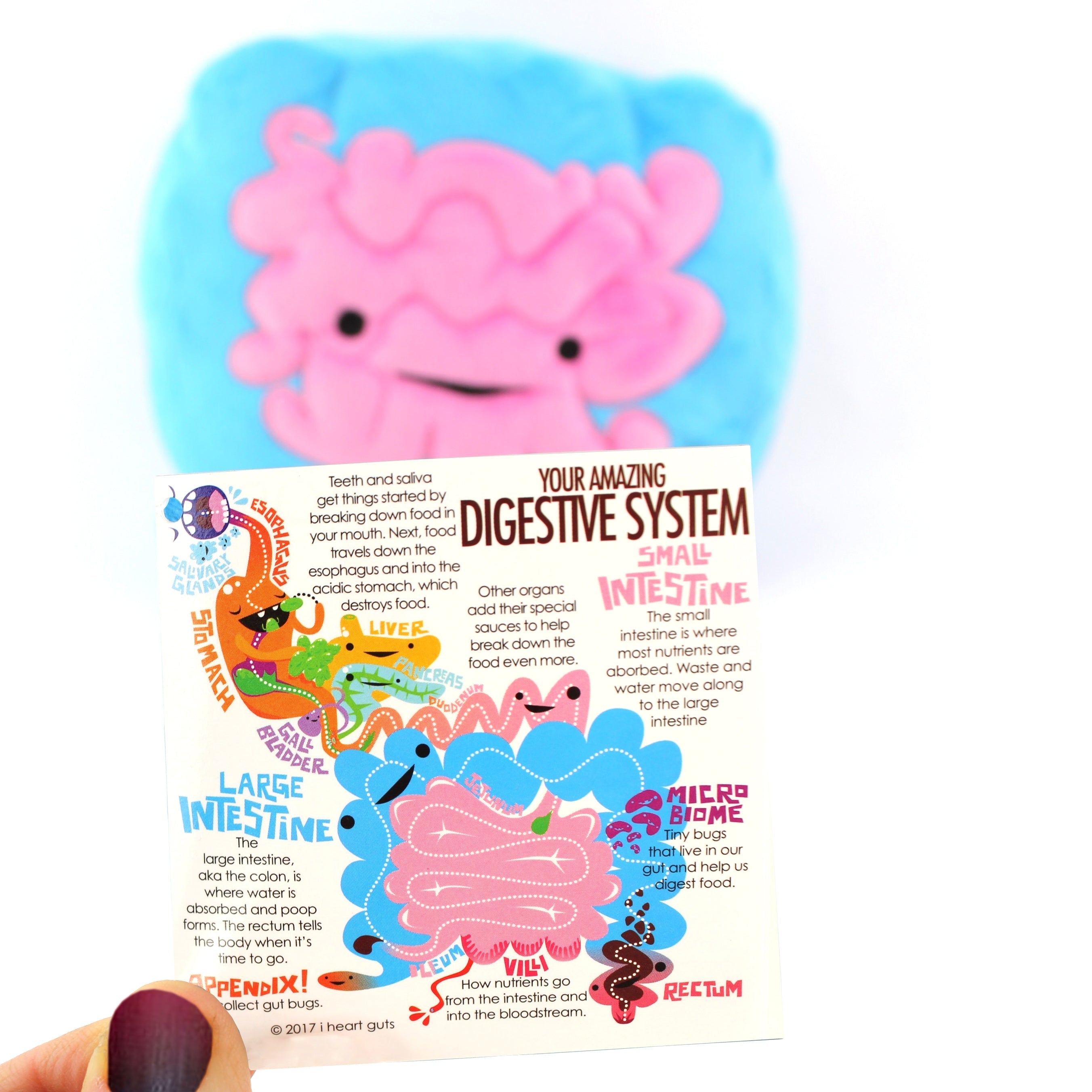 Digestive System Plush Toys | I Heart Guts Plush Organs