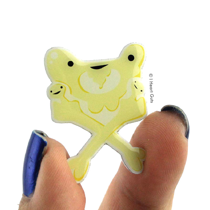 Hip Surgery Humor & Pelvis Gifts | Hip Replacement, Pelvic Floor, Birth ...