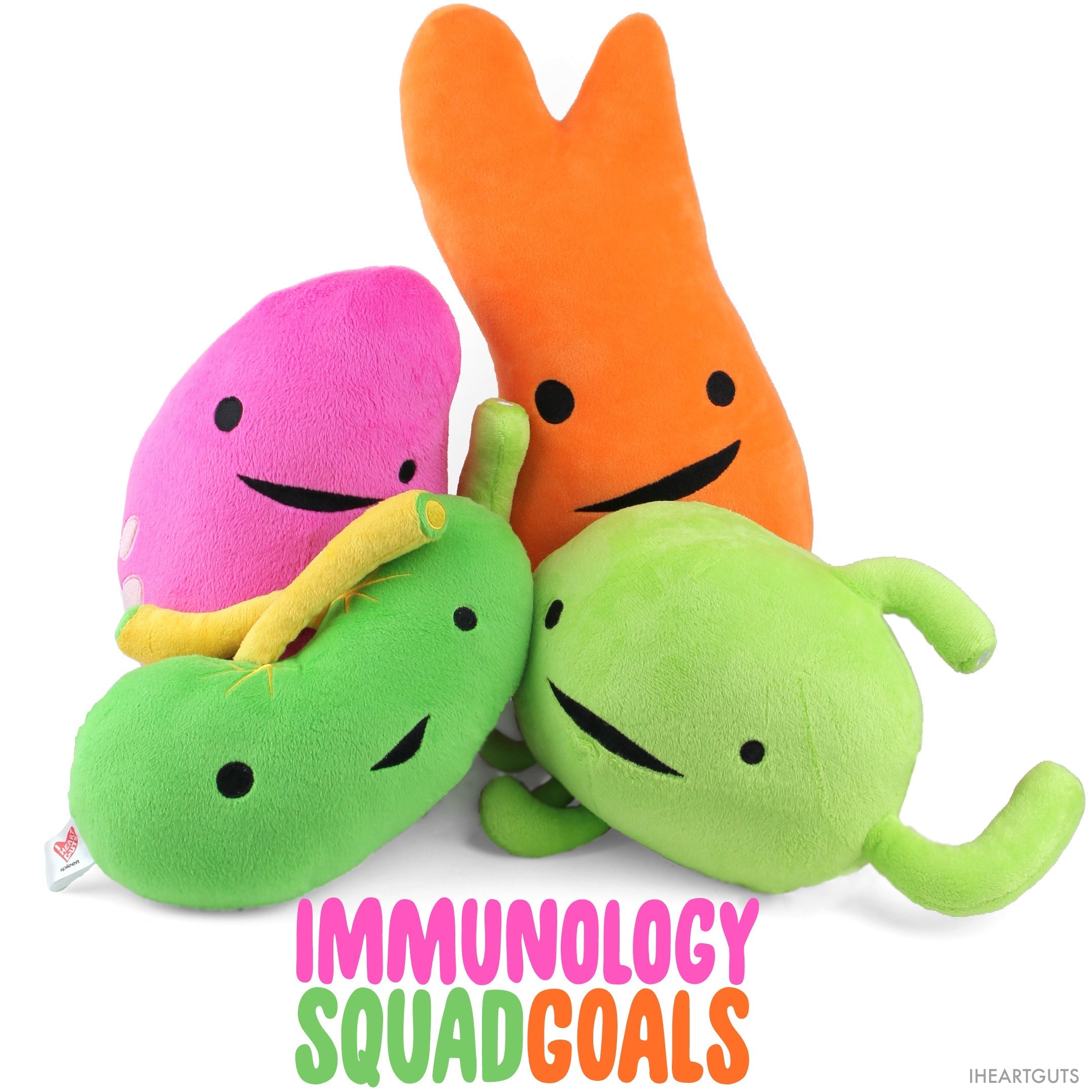 Immunology Gifts | I Heart Guts Plush Organs