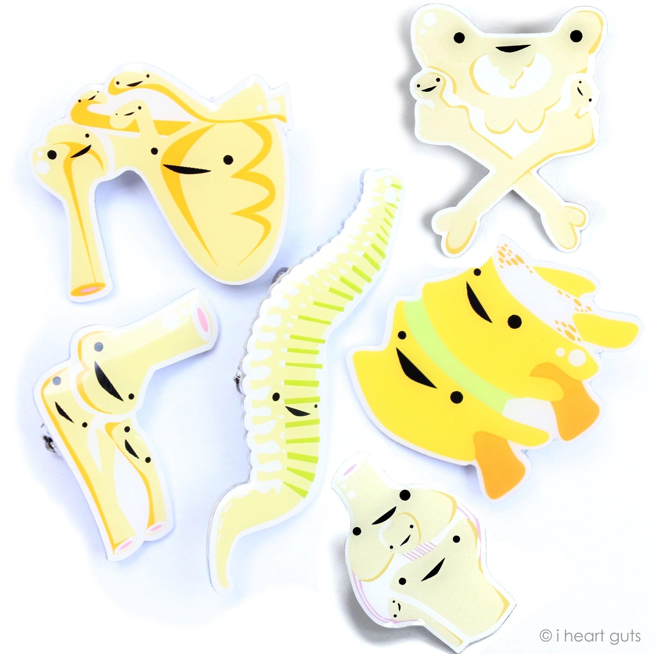 Bone Plush Gifts | Knee & Spine Plushies, and Bone Enamel Pins & Gifts ...