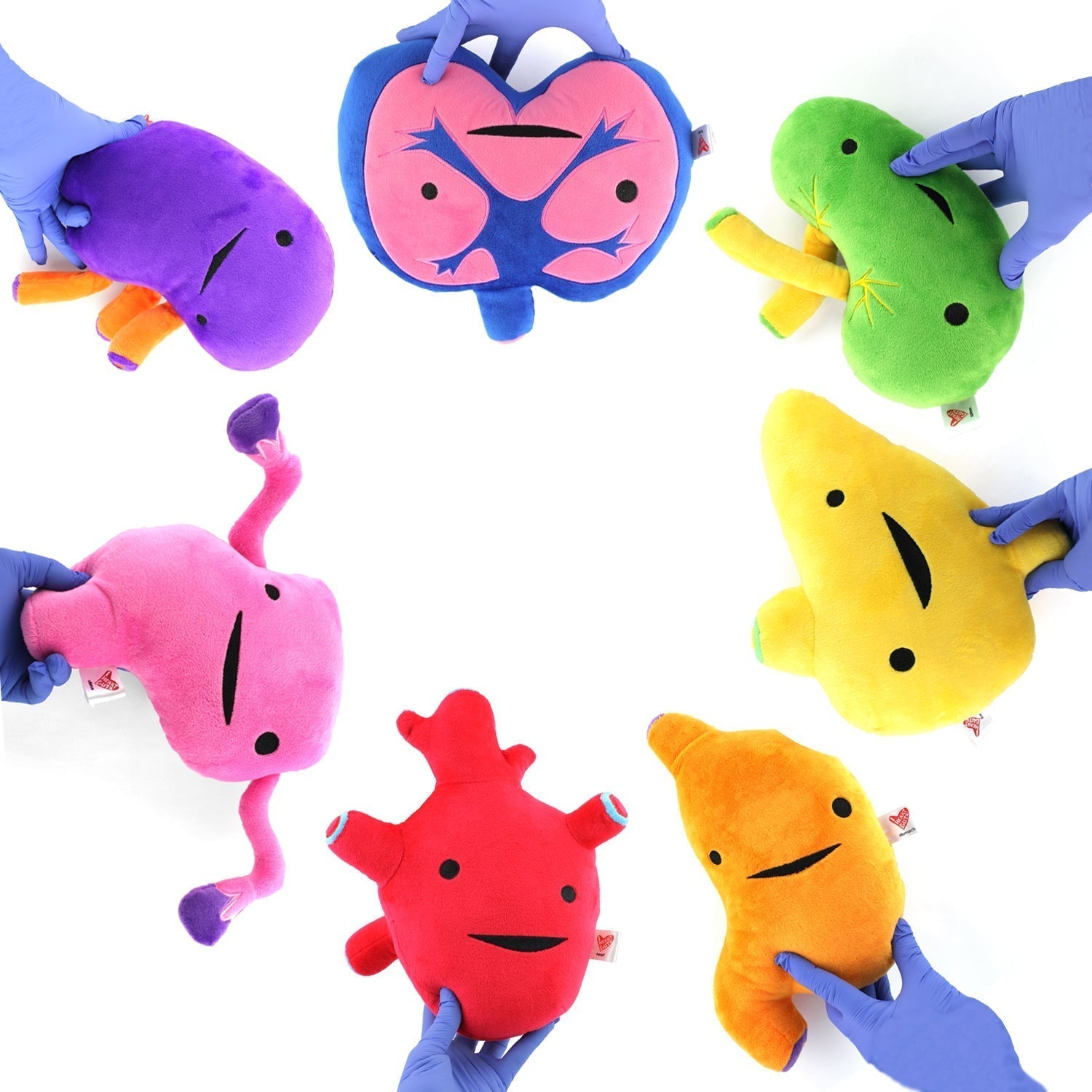 Surgery Plushie Get Well Gifts | I Heart Guts Plush Organs