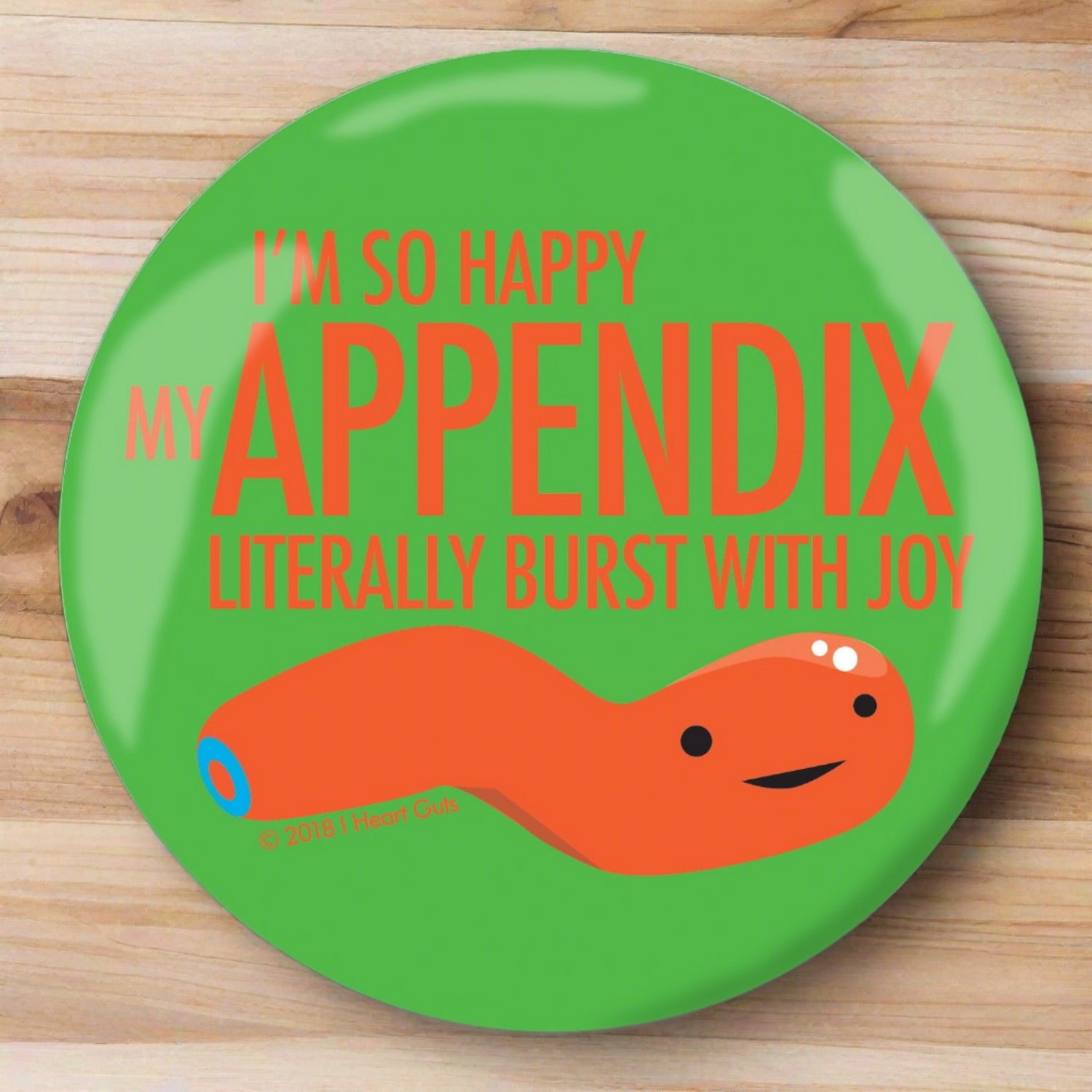 Appendix Literally Exploded Magnet | Appendix Removal Gift | I Heart ...