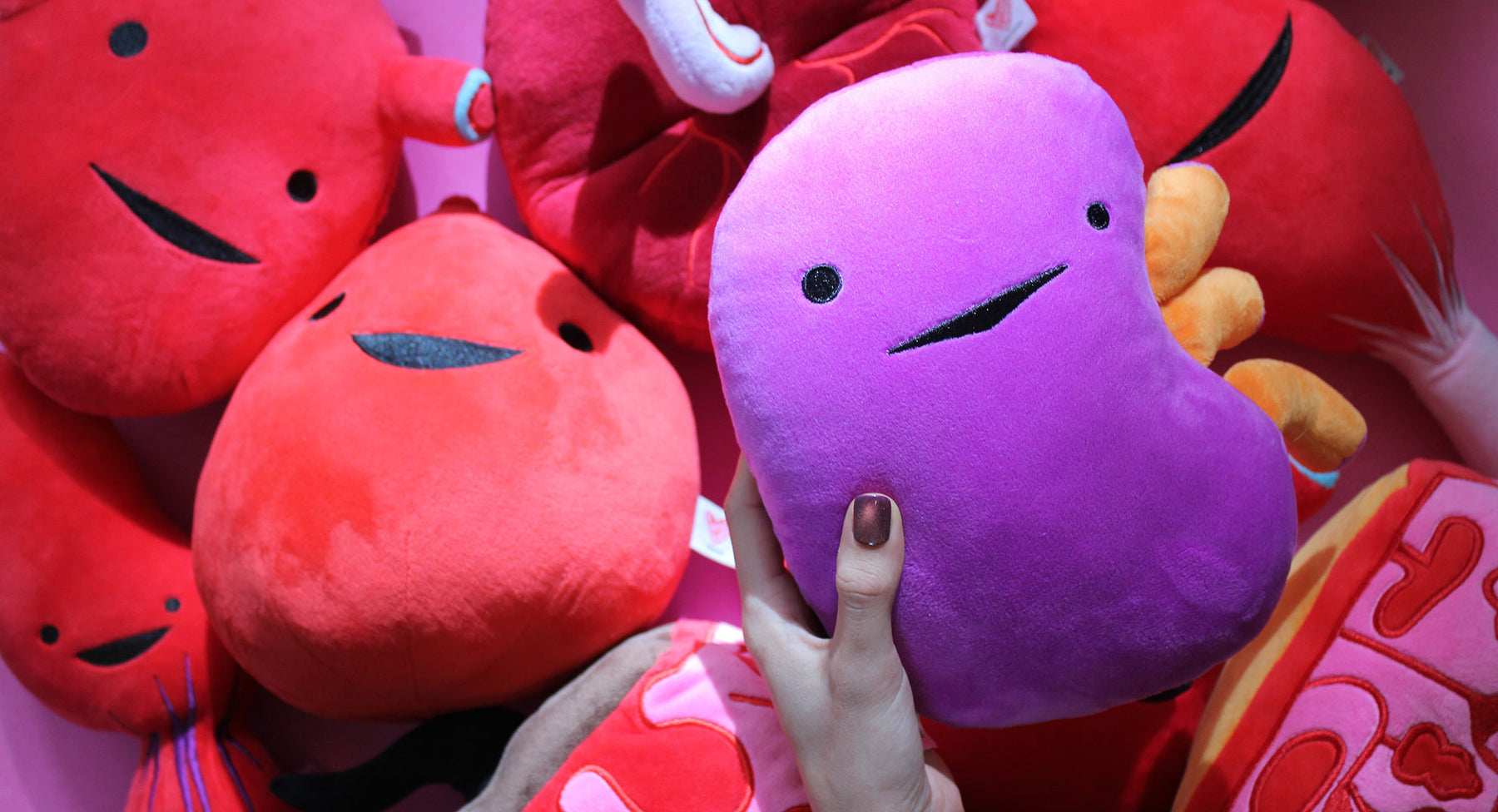 Colon Plush | Get Well Colon Surgery Stuffed Toy Pillow, Colon Cancer ...