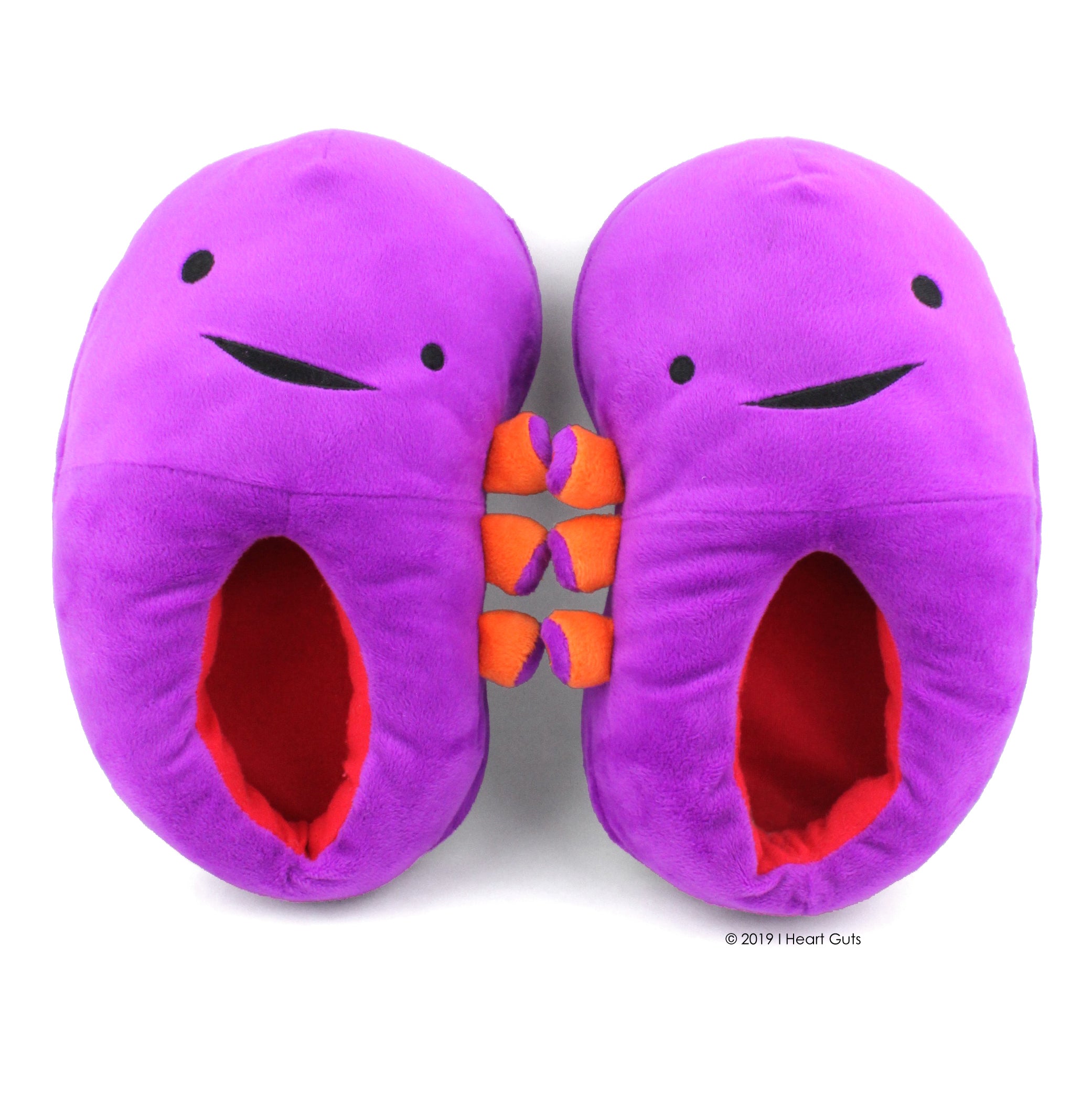 Kidney Plush Slippers - Women's Shoe Size 5-9 / Kids Youth Shoe Size 3 ...