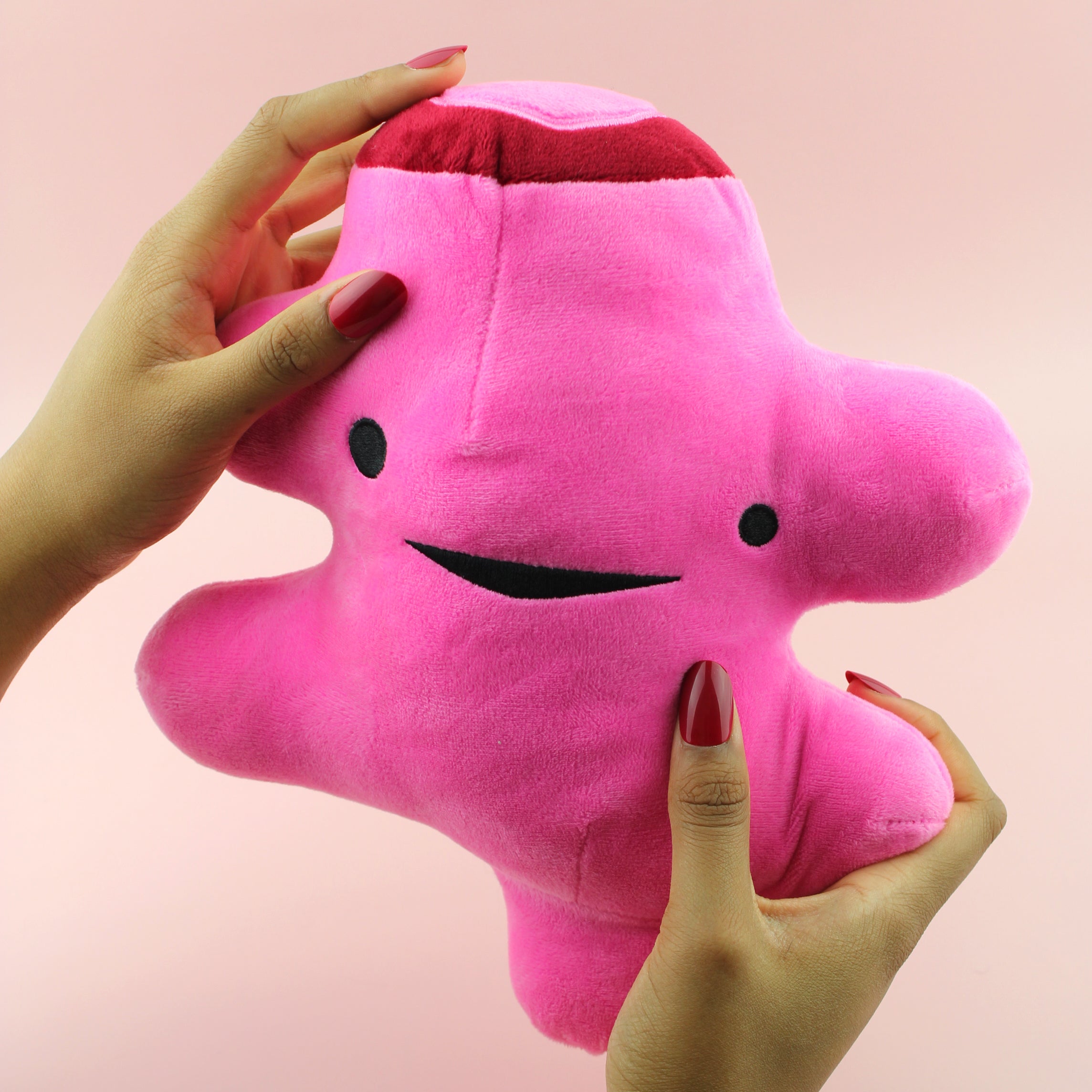 Rectum Plushie - Bringing Up The Rear - Colorectal Surgery Gift Pillow ...